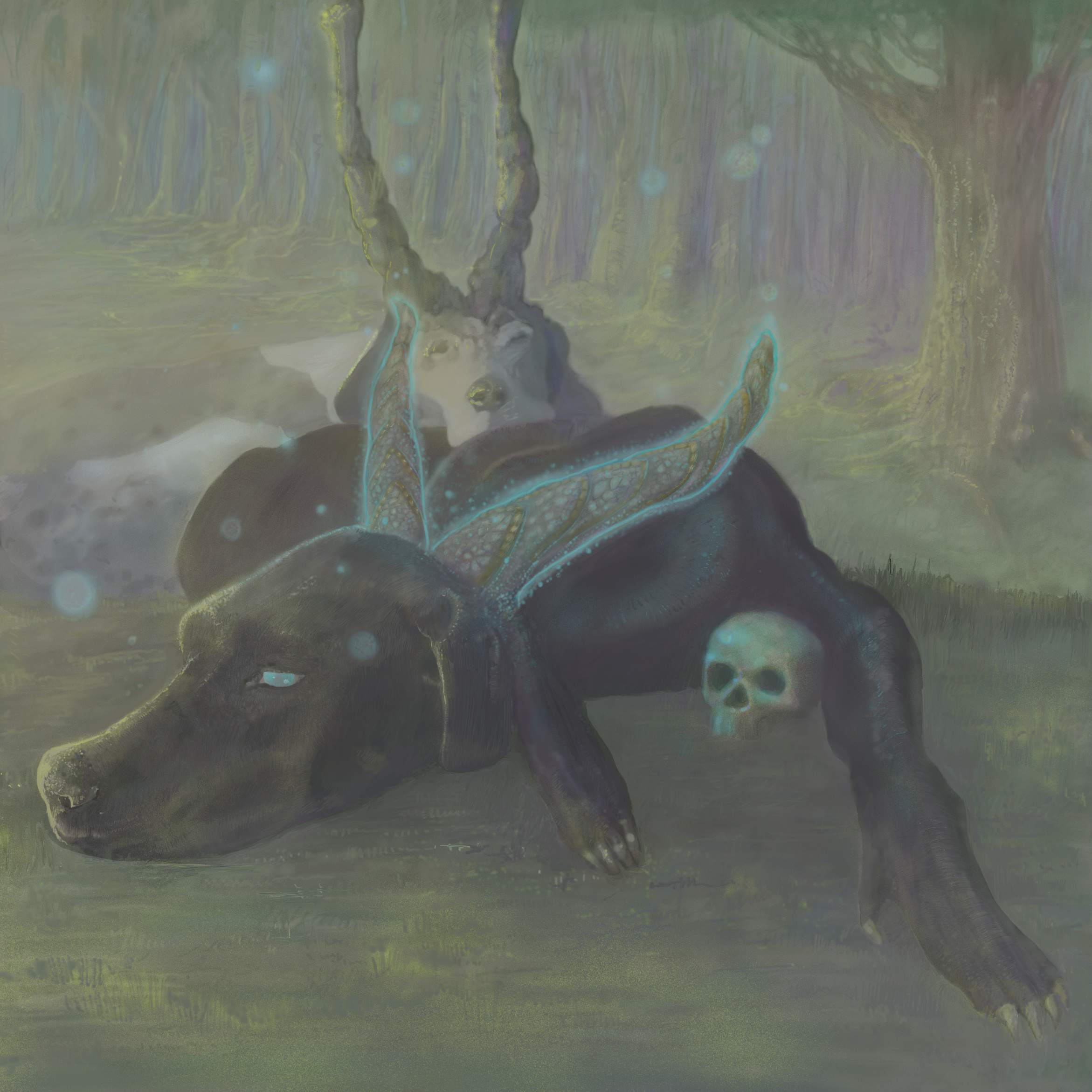 gallery – unigon pics