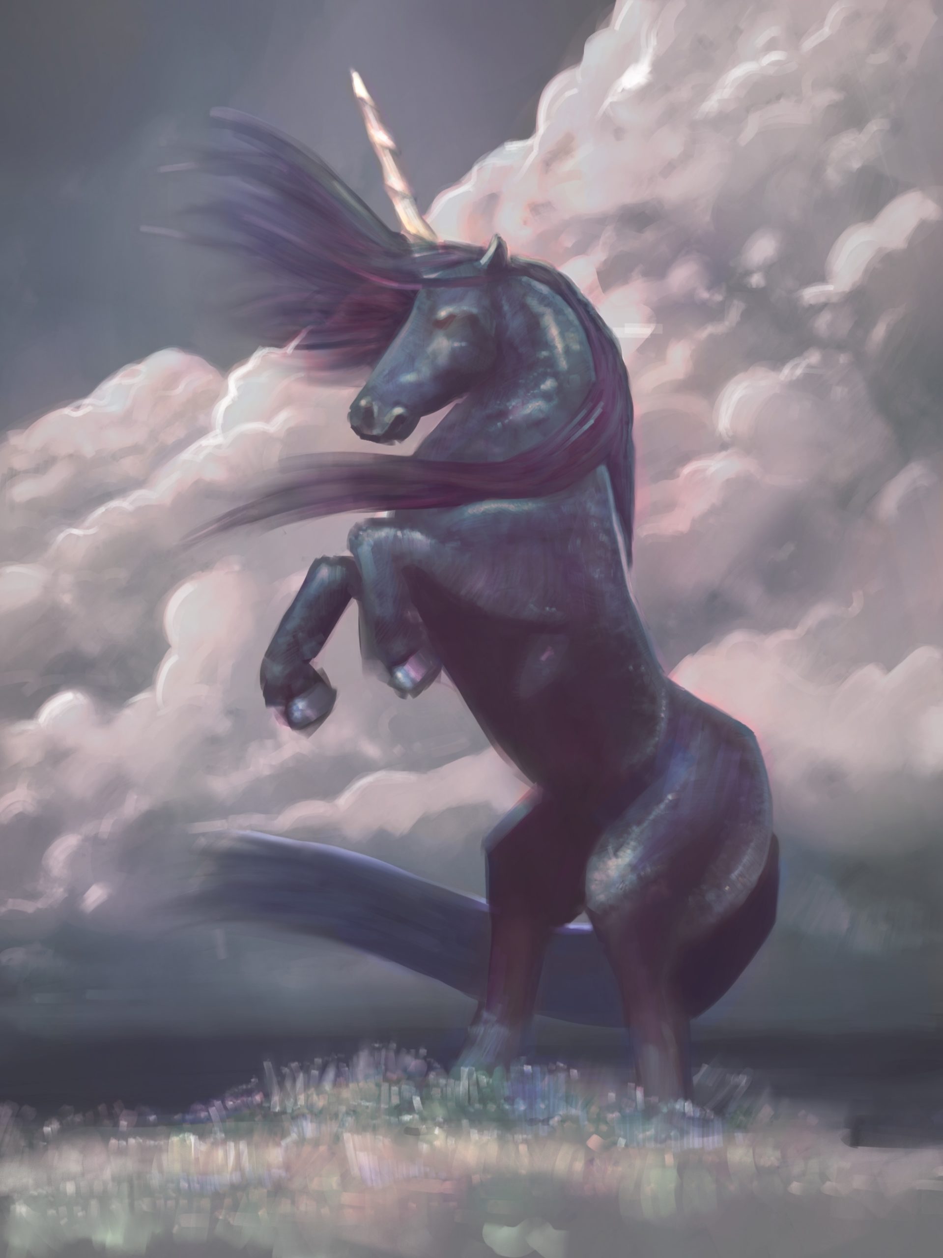 gallery – unigon pics